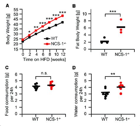 High Fat Diet Hfd Induced Obesity In Neuronal Calcium Sensor 1