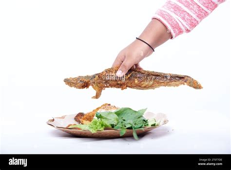 Hand Holding Fried Catfish With Rice Spicy Sauce And Vegetable Stock