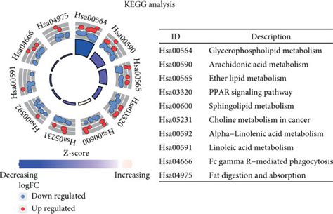 The Functional Enrichment Analysis Of 191 Degs A B Go Enrichment