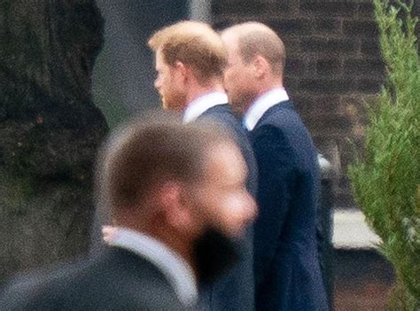 See Prince William And Prince Harry Reunite At Dianas Statue Unveiling