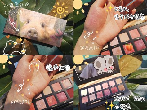 完美日记小猪盘试色 御卡桃 知乎