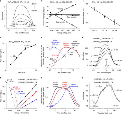 Photocurrents And Photochemical Conversion Upon Single Quantum