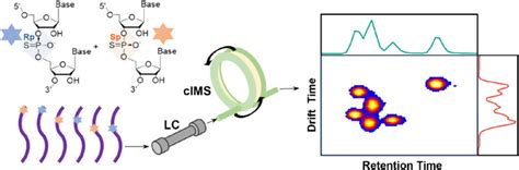 Quantitative Analysis Of Phosphorothioate Isomers In Crispr Sgrna At Single Residue Resolution