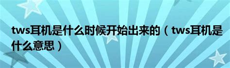 tws耳机是什么时候开始出来的tws耳机是什么意思 环球知识网