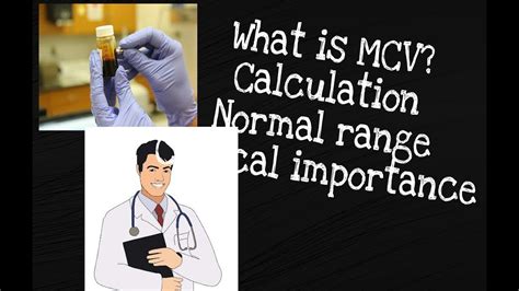 Mcv Calculation And Normal Range By All About Humans Body