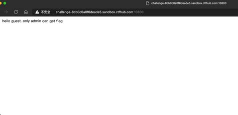 ctfhub 技能树 SEC GXX
