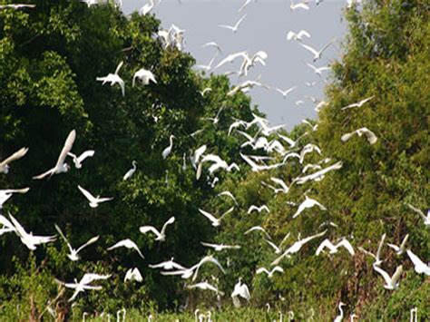 សហគមន៍អេកូទេសចរណ៍ព្រែកទាល់