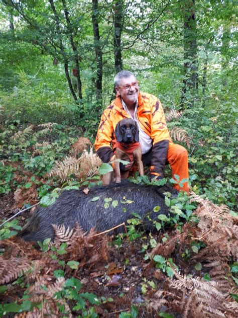 Premier Brevet de Maîtrise de la saison 2023 2024 Chiens de Rouge