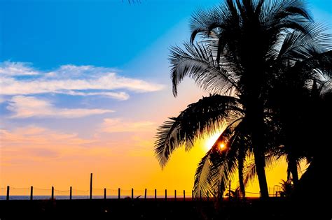 Playa Atardecer Palmeras Foto Gratis En Pixabay Pixabay