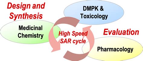 Our Strength And New Modality Drug Discovery Shionogi And Co Ltd
