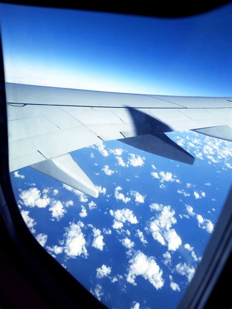 직 접 찍 은 사진 자랑 비행기에서 Daum 카페