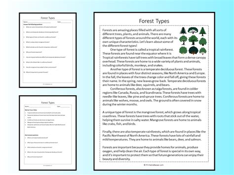 Forest Types Reading Comprehension Passage Printable Worksheet Teaching Resources