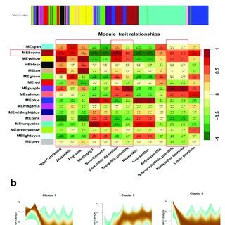 Weighted Gene Co Expression Network Analysis WGCNA Modules Of