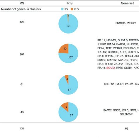 Functional Enrichment Analysis Of Genes In Four Clusters Enrichment