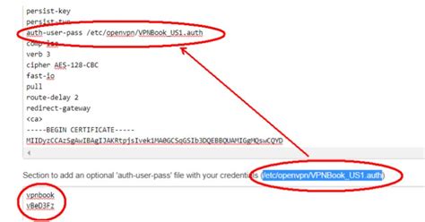Using OpenVPN And Not Starting Installing And Using OpenWrt OpenWrt Forum