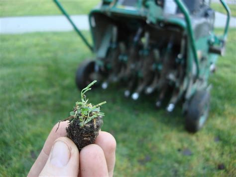 How To Transform Your Lawn With Aeration And Overseeding This Fall