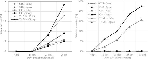 Figure 3 From Pathogenicity Of Trichoderma Afroharzianum In Cereal Crops Semantic Scholar