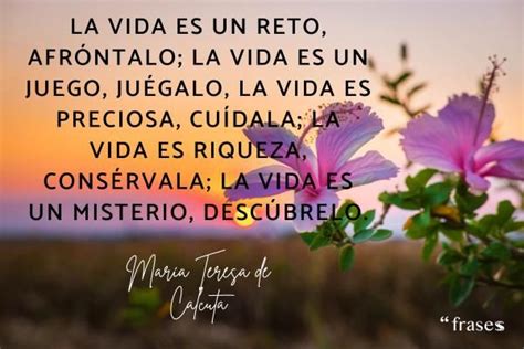 50 POEMAS Cortos De La VIDA Para Reflexionar Poemas Cortos