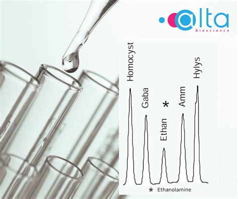 Ethanolamine Analysis For Cell Culture Media Optimisation