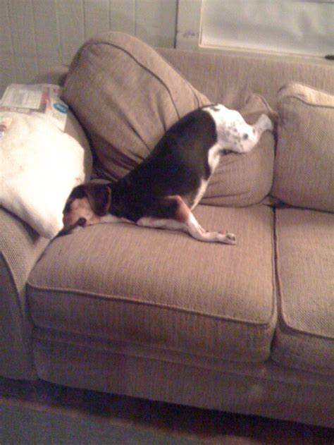 choses qui surviennent après le sexe Pour le meilleur ou pour le pire