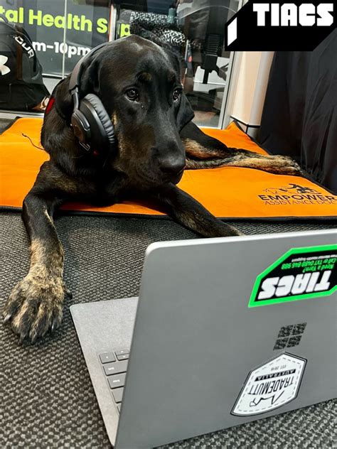 Anne Leon Hat Etwas Auf Linkedin Gepostet