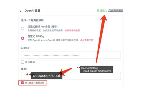 沉浸式翻译配置 Deepseek API 教程 分钟搞定翻译接入 API易 帮助中心