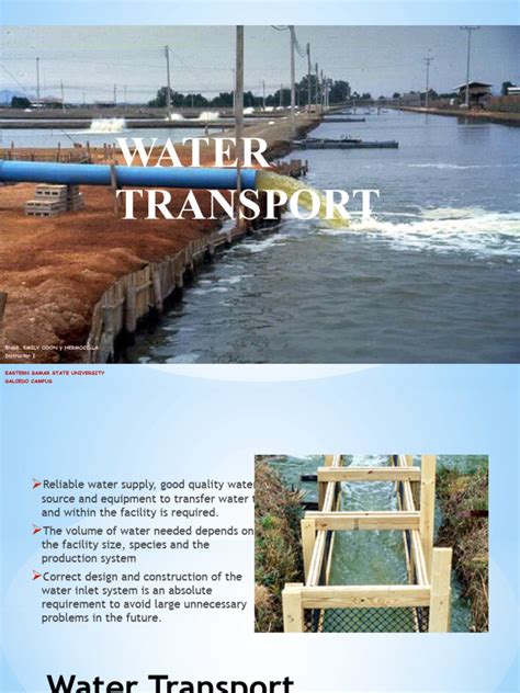 Chapter2 Water Transport Pdf Valve Pipe Fluid Conveyance