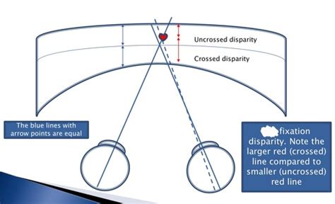 Fixation Disparity Basics Flashcards Quizlet