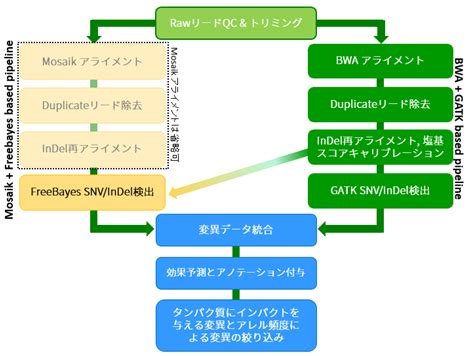 エクソーム解析受託サービス 株式会社dnaチップ研究所
