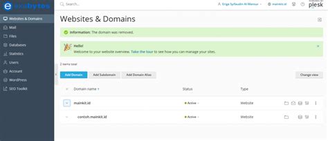 how to delete addon and subdomain in plesk id support portal