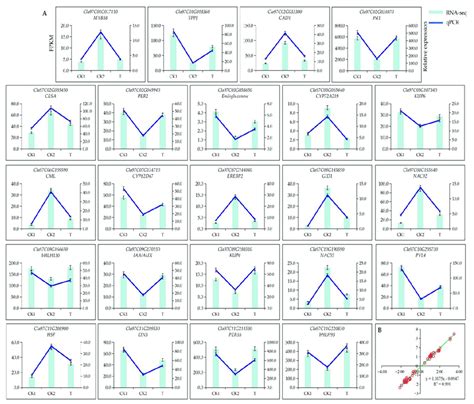 Transcriptomic Data Were Validated Using Qpcr A Gene Expression