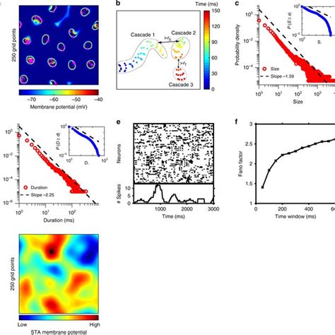 Spontaneous Coherent Activity With Criticality Reveals Long Range Download Scientific Diagram