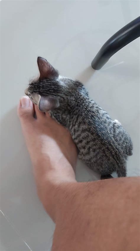 ปีที่แล้วก็แค่เด็กขี้อ้อน แต่ปีนี้ หนูเมธีมีลูกแมวเหมียว