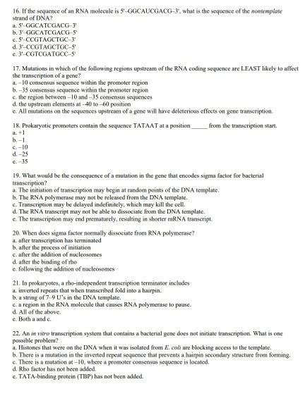 Solved If The Sequence Of An Rna Molecule Is Chegg