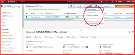 Create An EC2 Instance With EC2 User Data To Have A Website