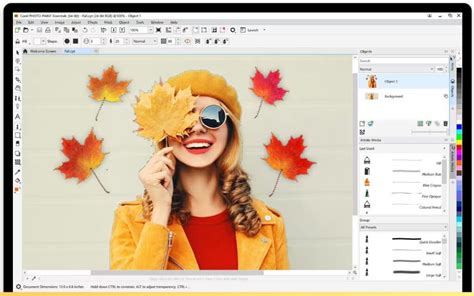 Coreldraw Review Oct 2025 Affordable Vector Graphics Editor
