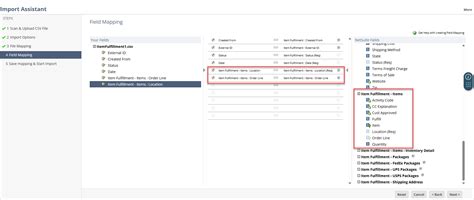 Netsuite Field Names At Ilene Haase Blog