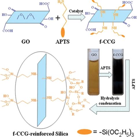 Functionalization Of Graphene Covalent And Non Covalent Approaches Derivatives And