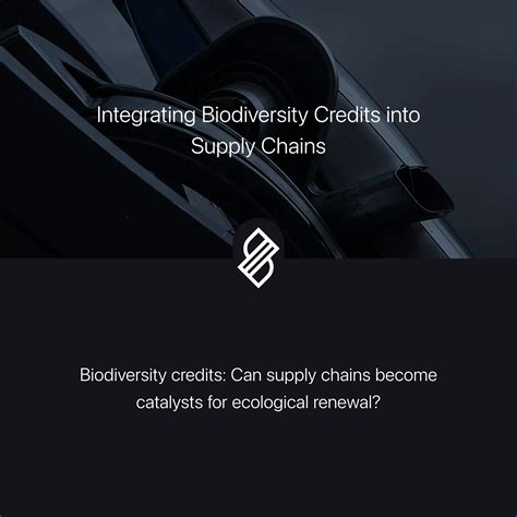 Integrating Biodiversity Credits Into Supply Chains → Scenario