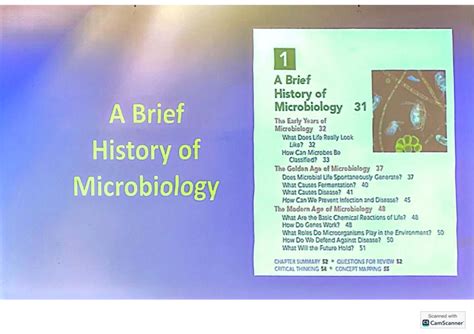 Microbiology Lecture Notes Introduction And Key Concepts Bsc Im Studocu