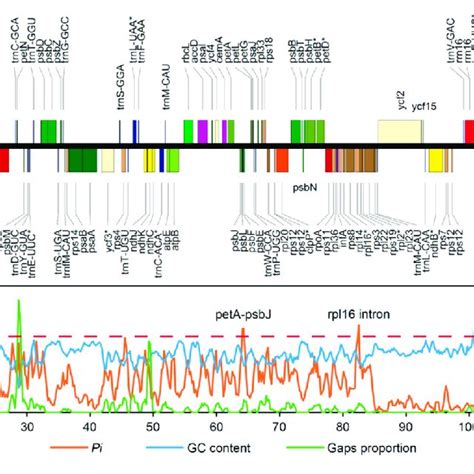 Sliding Window Analysis Showing The Nucleotide Diversity Pi GC