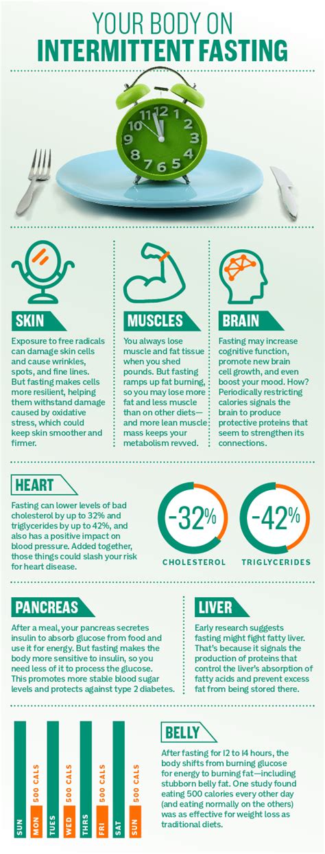 Guide To Intermittent Fasting The Southern Source
