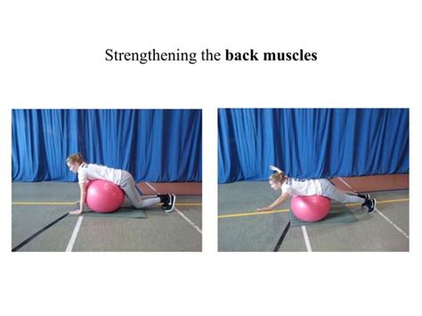 Exercises For Spine Guide 2 Stabilising And Strengthening Pptx
