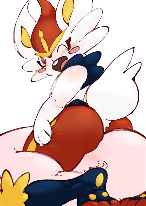 Rule 34 Absurd Res Ambiguous Gender Anthro Blush Cinderace Duo