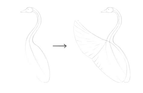 Brush Pen Techniques How To Draw A Black Swan