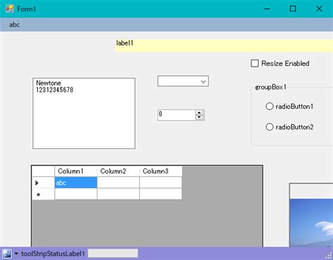 ResizeKit Automatically Resizes Controls And Fonts On Your Forms No Coding Necessary Resizes