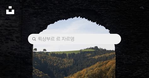 르 자르댕 뒤 뤽상부르 사진 Unsplash에서 무료 이미지 다운로드