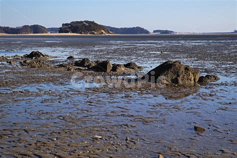 선재도 목섬 서해 바다 인천 사진 이미지 일러스트 캘리그라피 Deep Blue작가