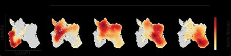 Fig S2 Distribution Of Cells From Individual Samples In Umap Space