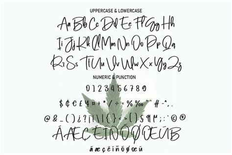 Weed Script Font Masterbundles